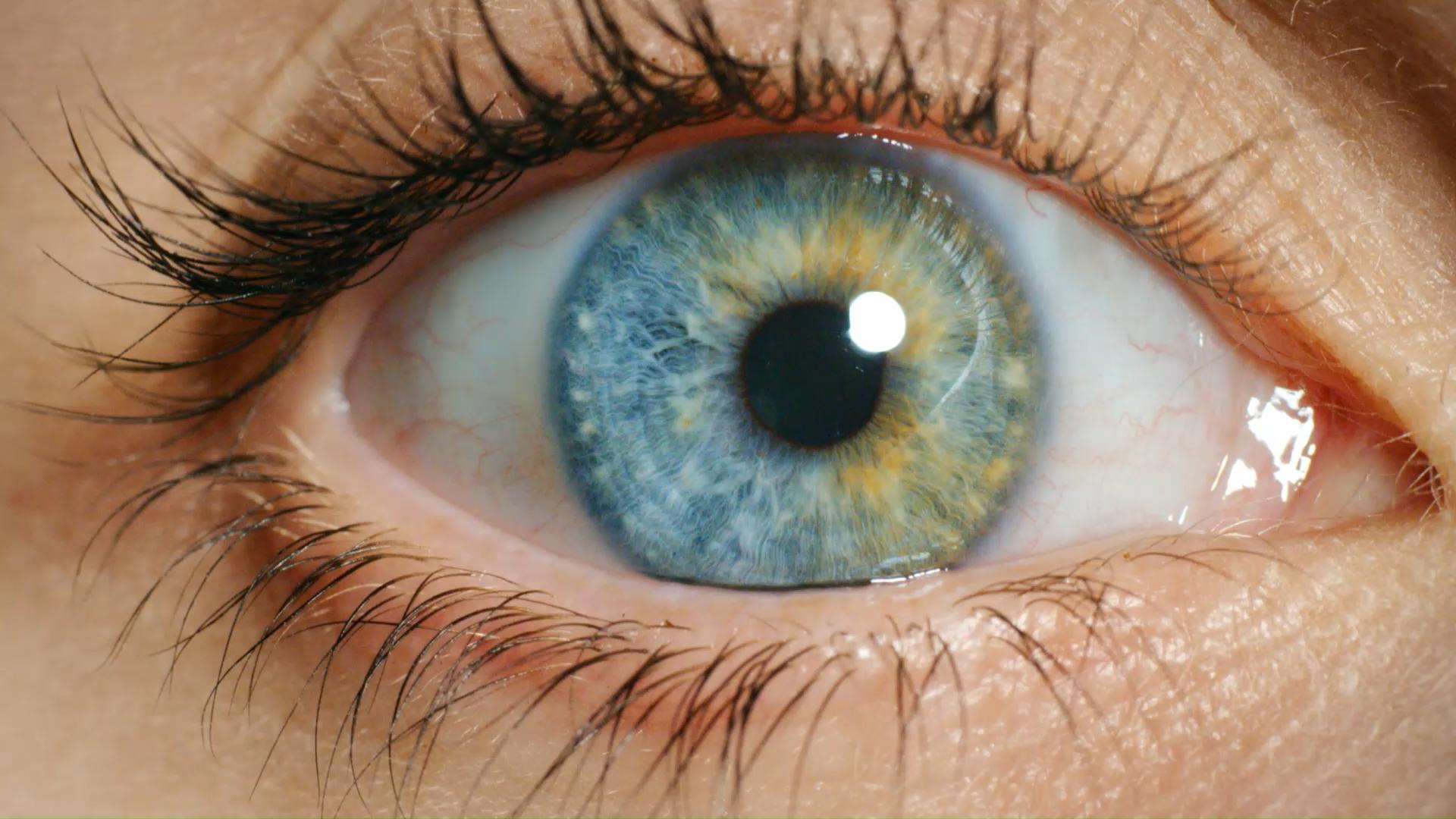 Smyrna Eye Group – Since 1974 – Smyrna’s Primary Eye Care Provider